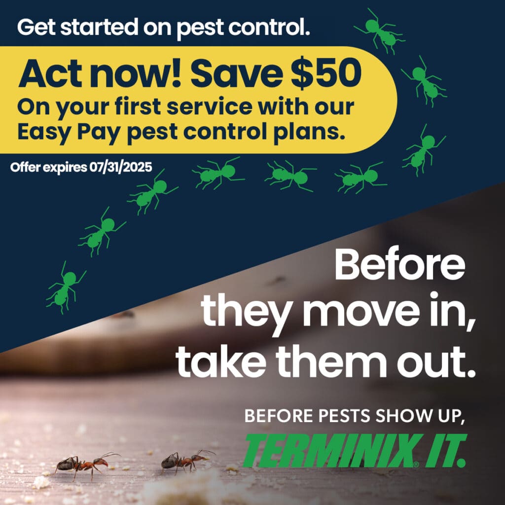 Monthly Promo Offer